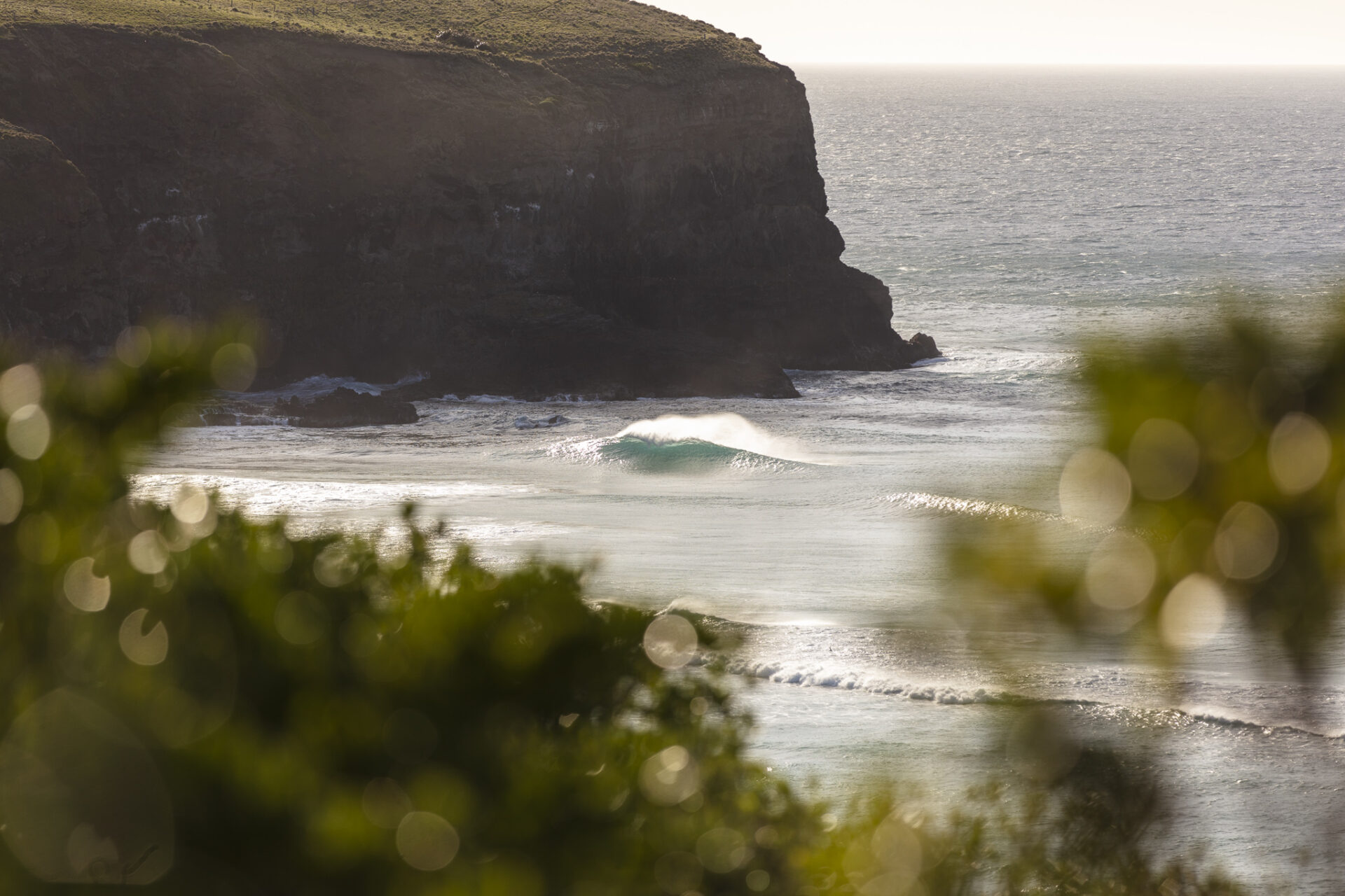 Special Report: What The New Marine Reserves Mean For You, Fishing ...