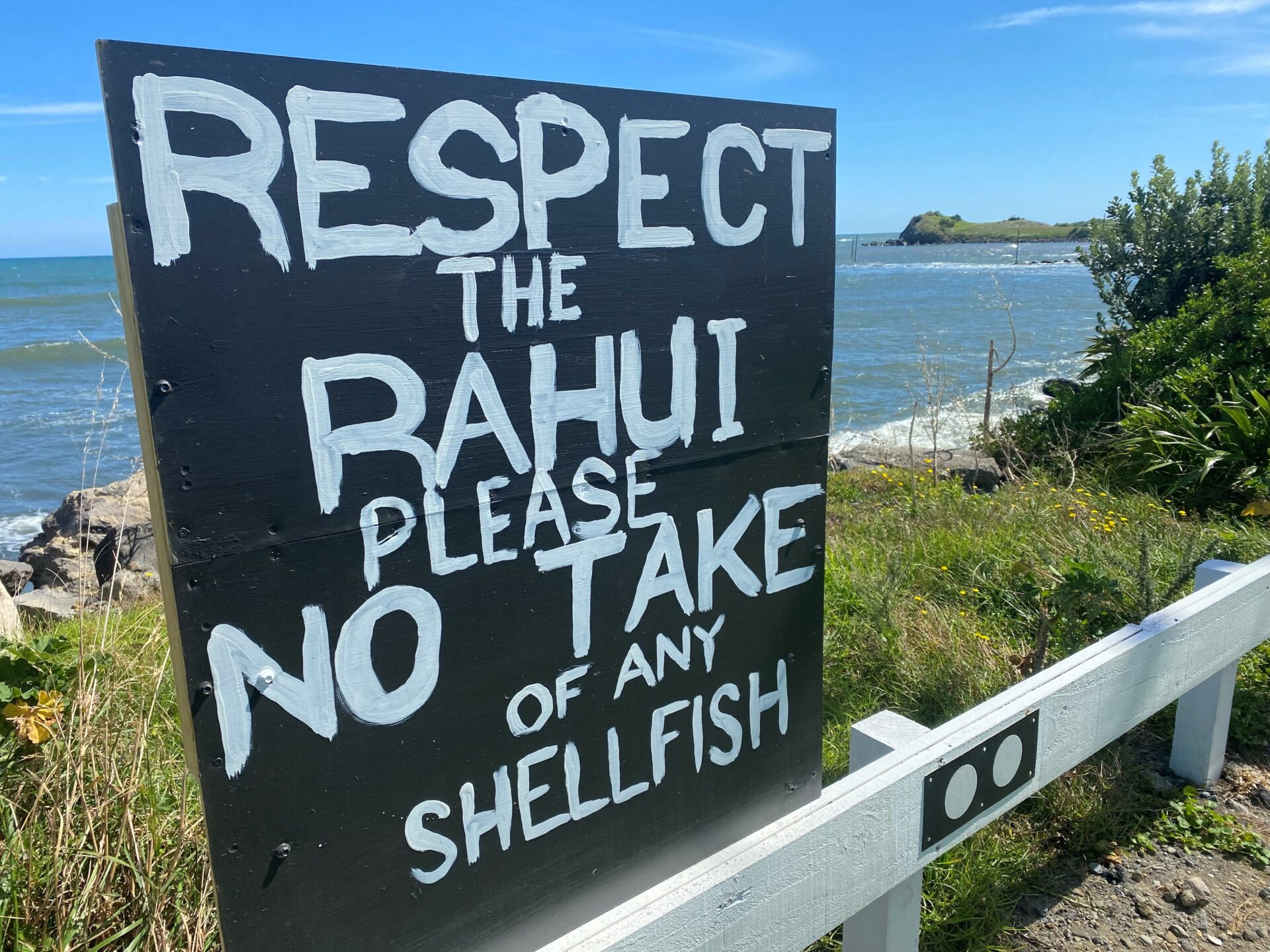 Taranaki Rāhui Supported By Government As Kaimoana Stocks Under Threat ...