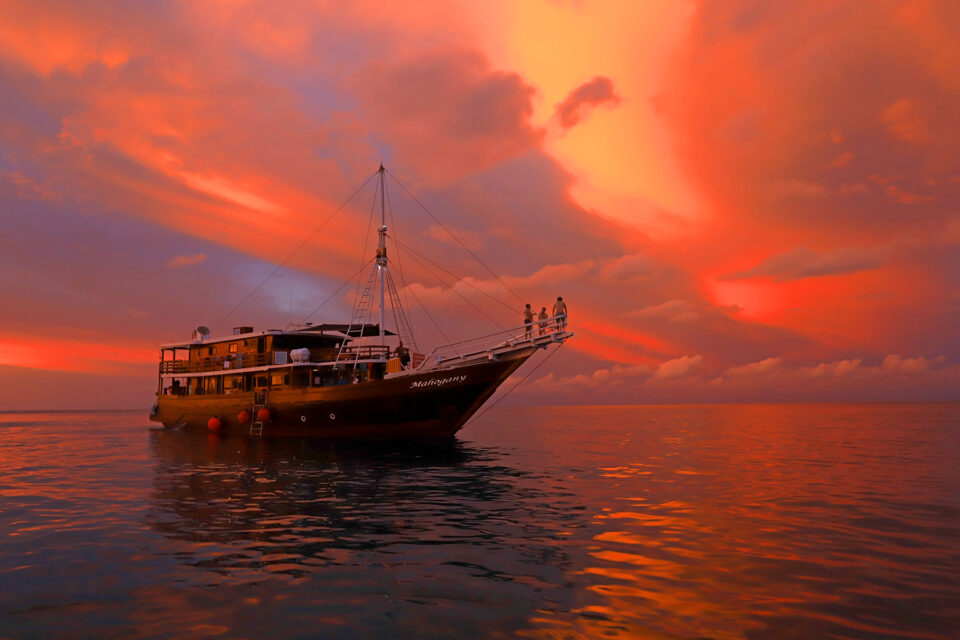 The Ultimate Guide To Your Dream Indo Boat Trip - New Zealand Surf Journal