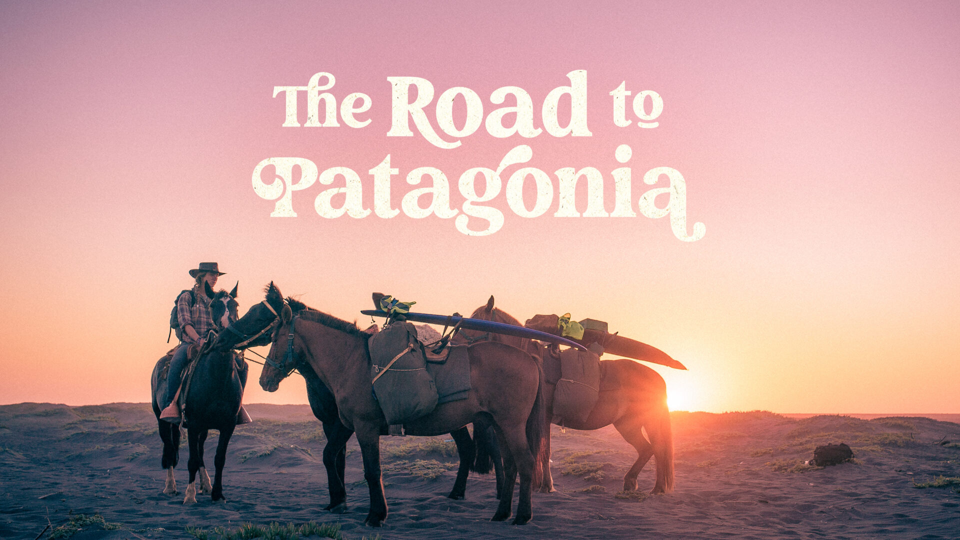 Film Review: The Road To Patagonia - New Zealand Surf Journal